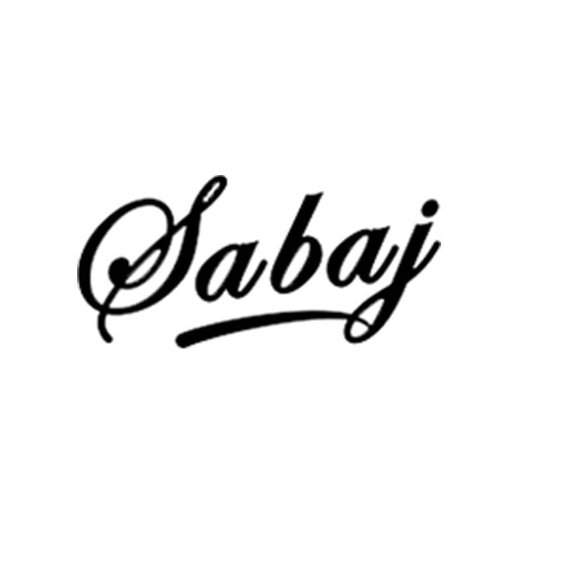 Sabaj Hi-Fi Integrated Amplifiers & DACs – Hifi-express